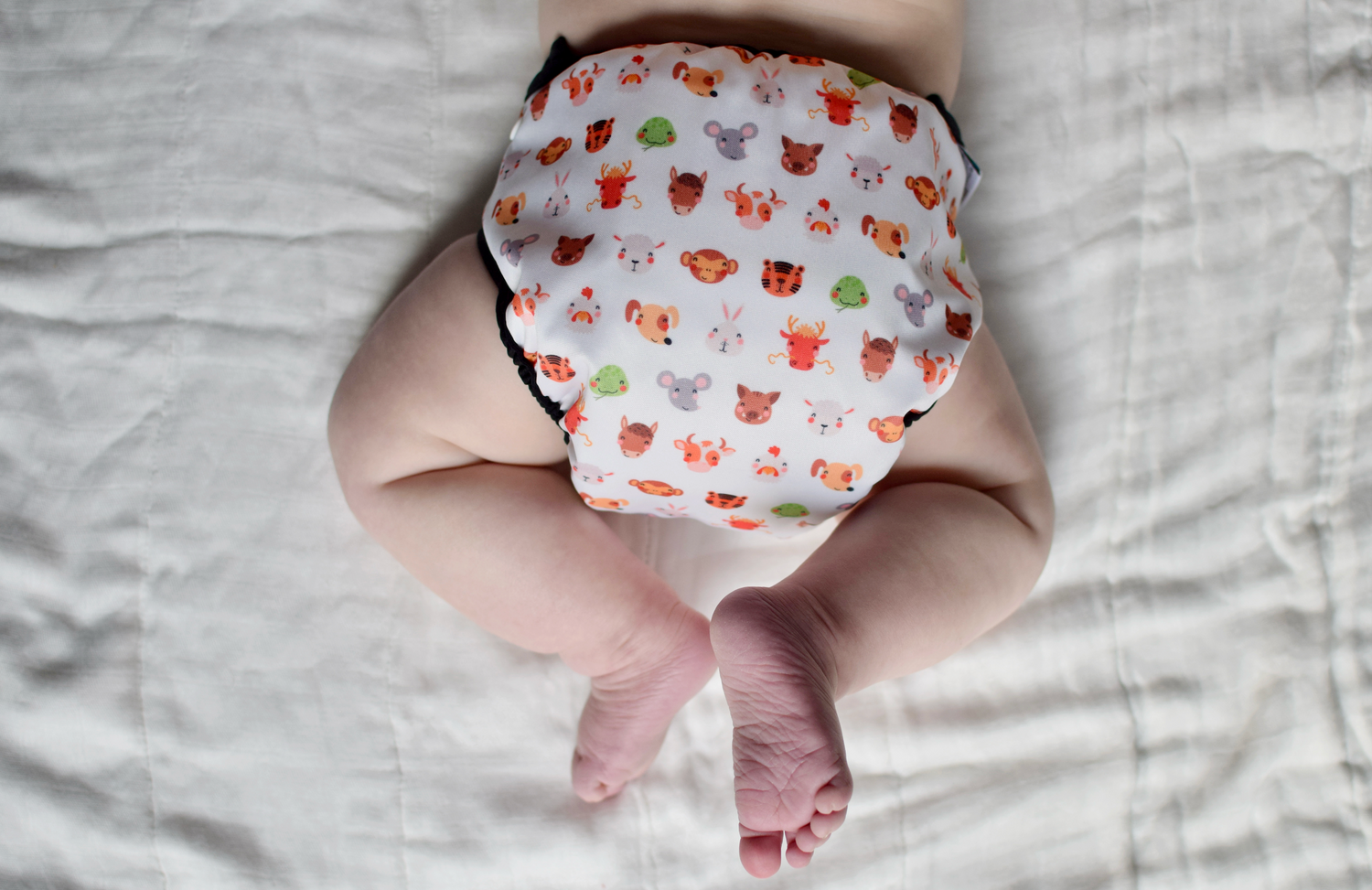 Best Bottom Diapers